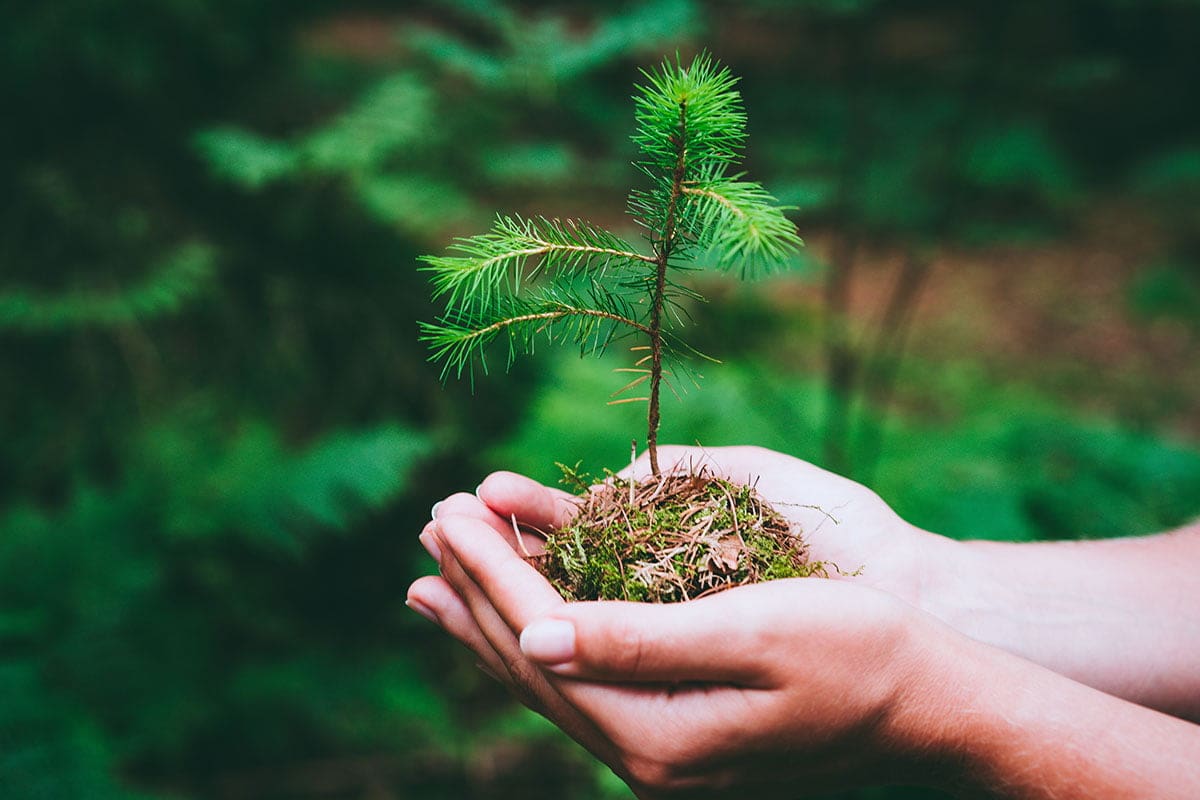 Apply! The Green Economy Youth Activation Program Opens In Kenya