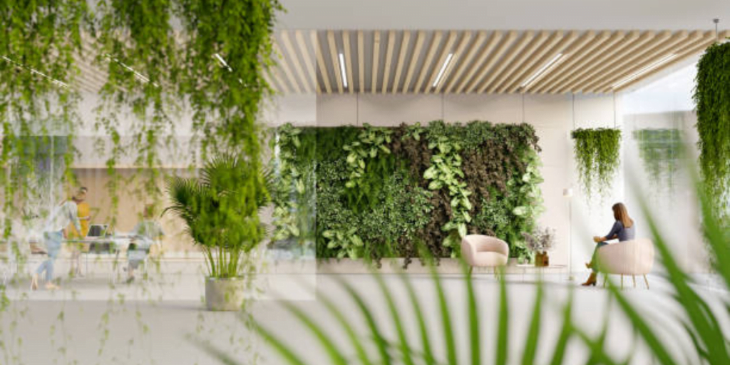 4 Steps For Creating An Eco-friendly Office
