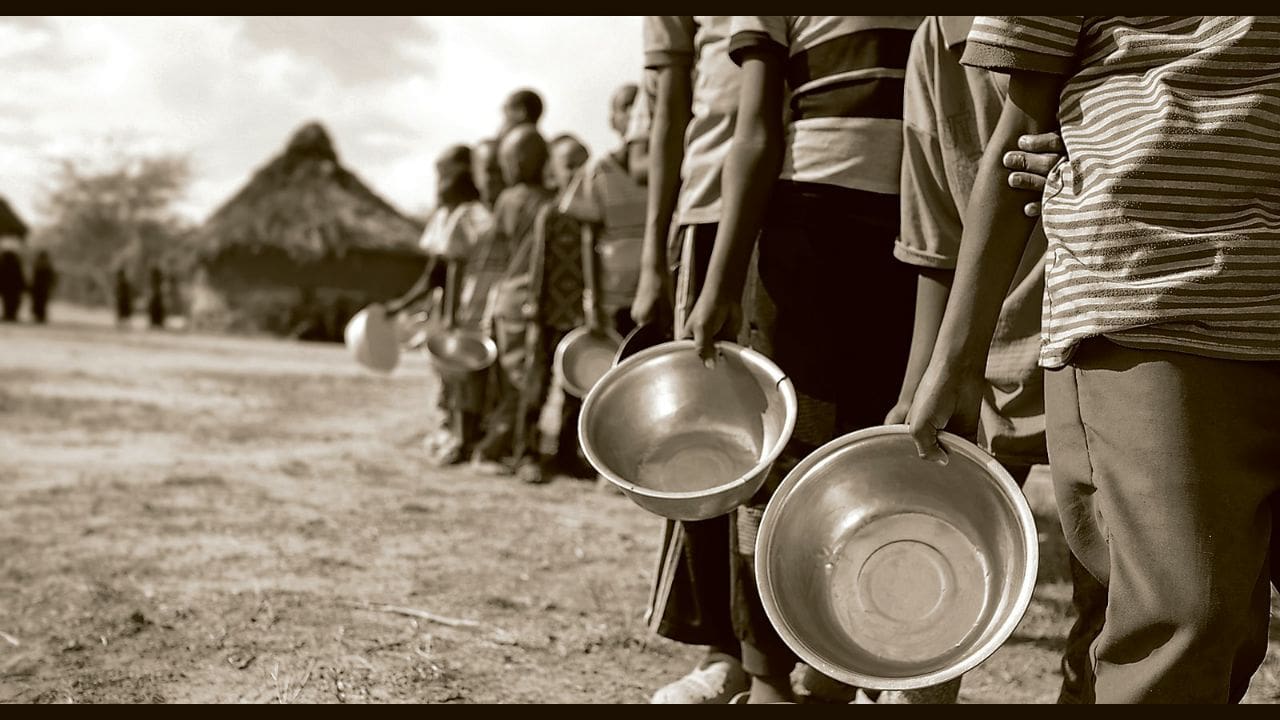 The Role Of Government And NGOs In Combating Hunger In