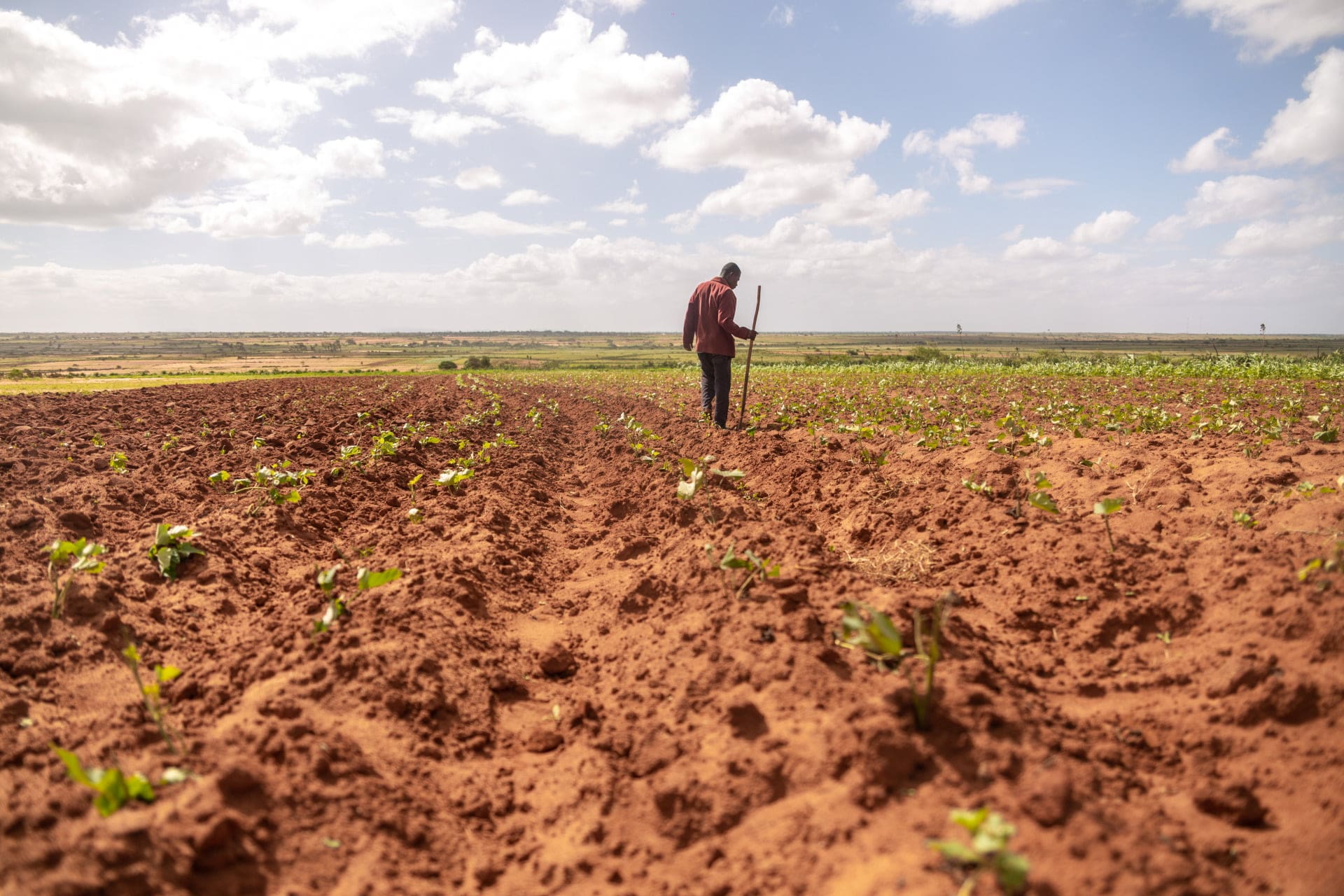 The Role Of Indigenous Knowledge In Climate Adaptation